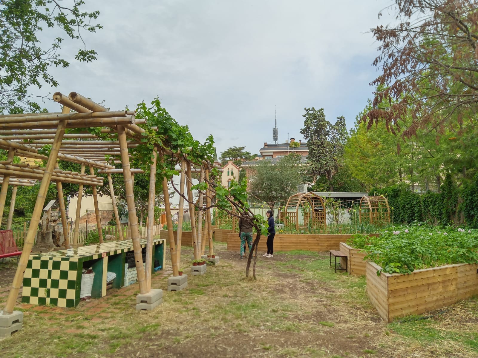 El Jardín Fénix multiplica su impacto social de la mano de la Fundación ...